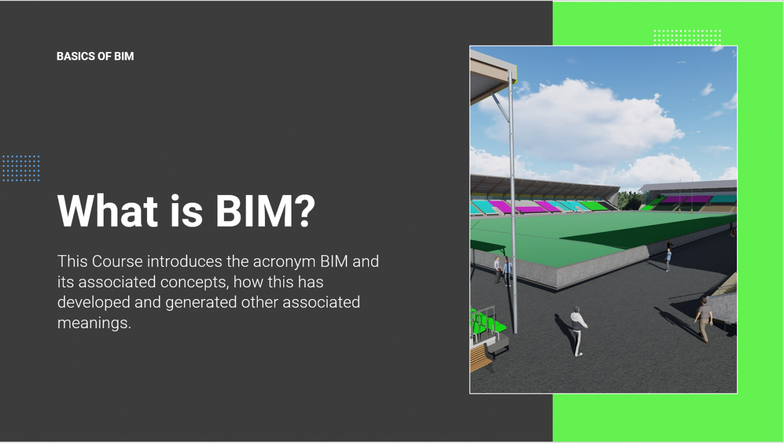 CPIx BIM Assessment Form
